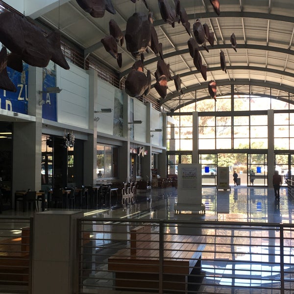 Vodacom Shop - Mobile Phone Store in Vredenburg