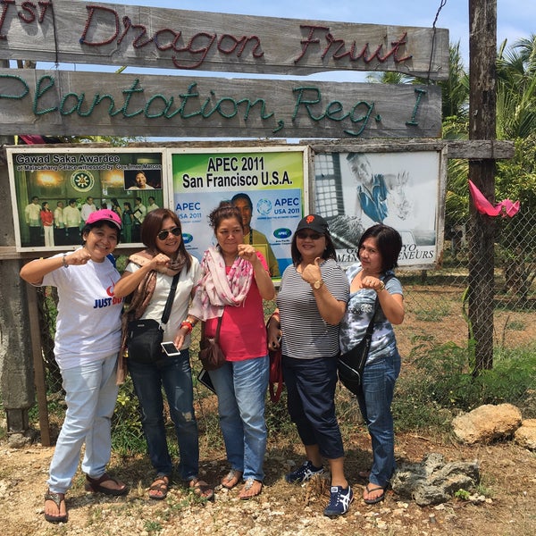 Refmad Farm, Dragon Fruits