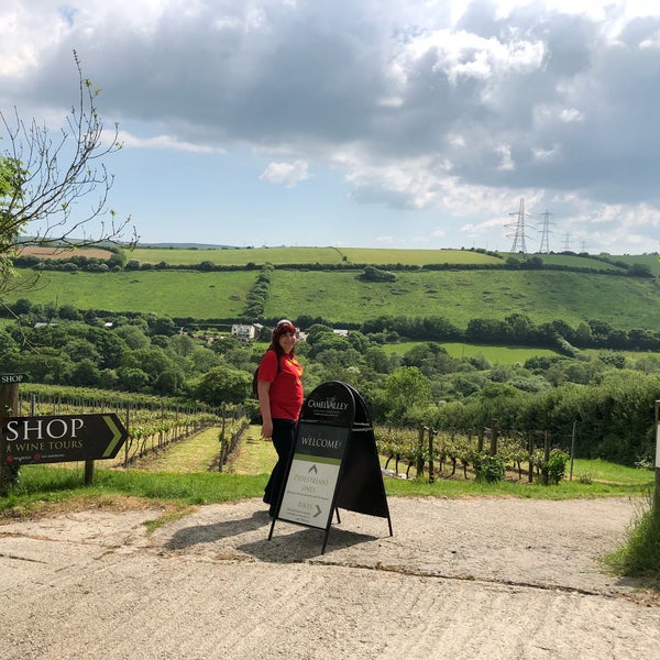 Camel Valley Vineyard - 7 tips from 170 visitors