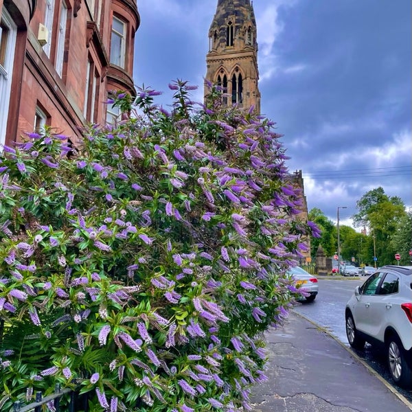 Partick - 3 tips from 490 visitors