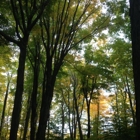 Photos at Whiting Road Nature Preserve - Hiking Trail in Webster