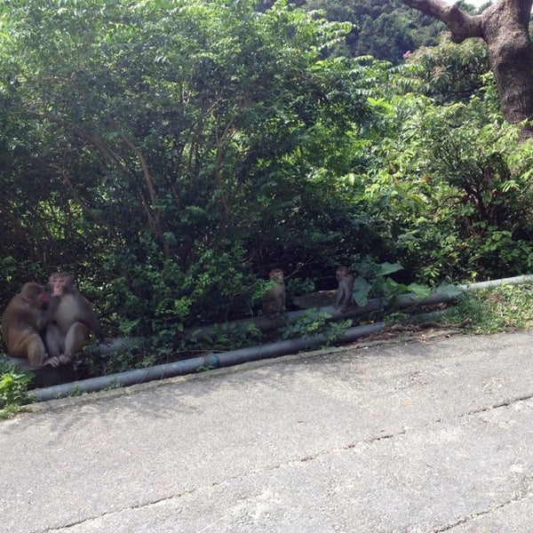 Photos at Shek Lei Pui Reservoir - 1 tip from 86 visitors