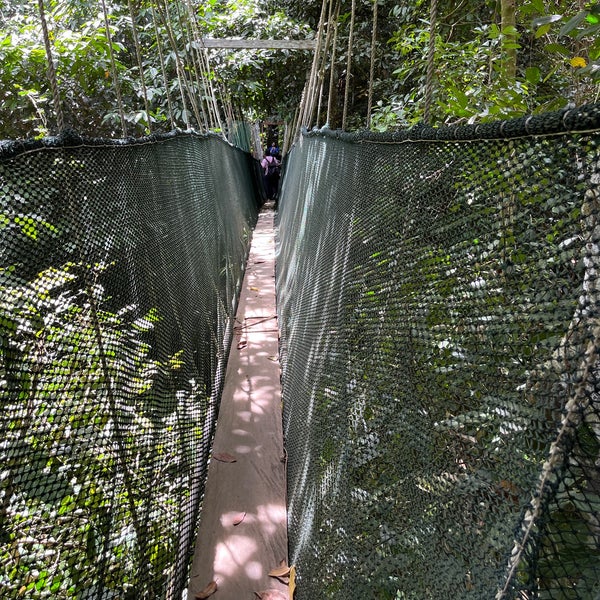 Canopy Walkway - Ranau, negeri sabah