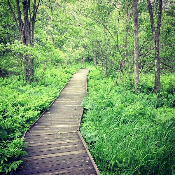The Great Swamp National Wildlife Area - Hiking Trail