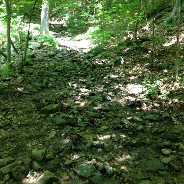 Thompson Pond Nature Preserve/Stissing Mountain - Nature Preserve in ...