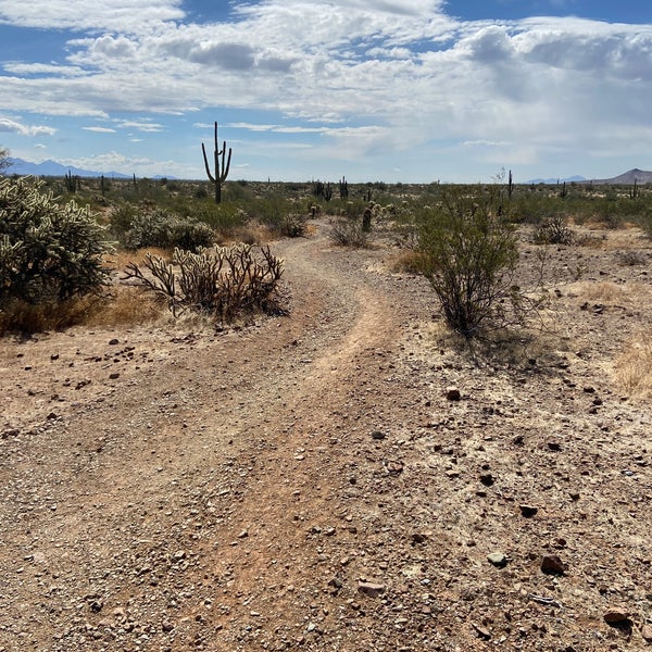 Apache Wash Trailhead - Hiking Trail in Phoenix