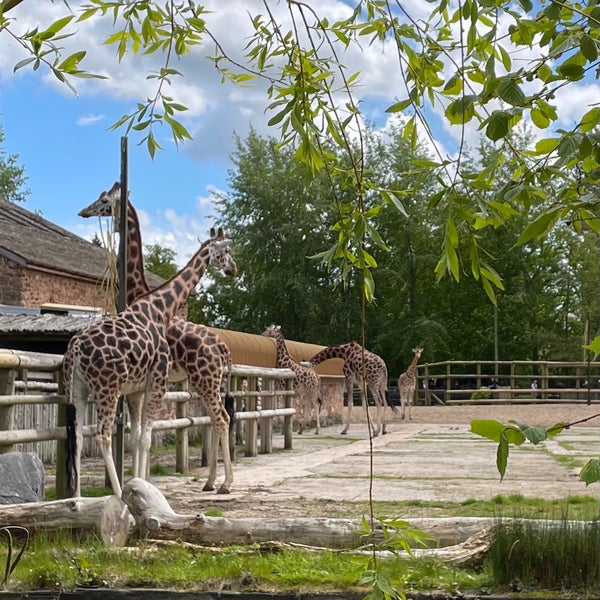 Giraffe Enclosure - 2 tips from 214 visitors