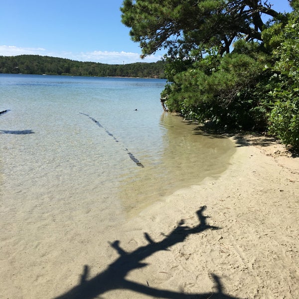 Gull Pond - Lake