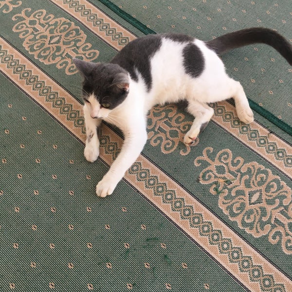 Photos at Masjid Kariah Paroi Jaya - Mosque in Seremban