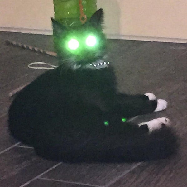 Photos at Neptune Beach Elementary School - Elementary School