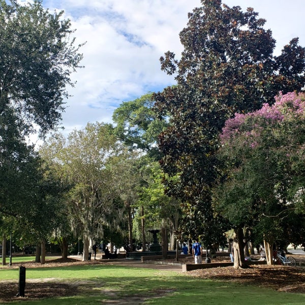 Photos at Washington Square Park - Park in Charleston