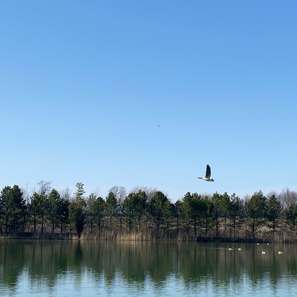 Kelly Lake Park - Lake