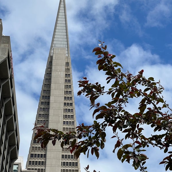 Transamerica Pyramid - Structure in Financial District