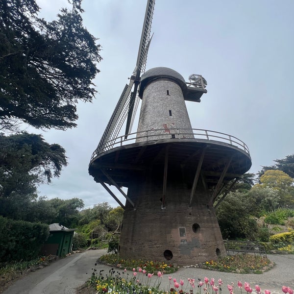 Dutch Windmill - Windmill in Golden Gate Park
