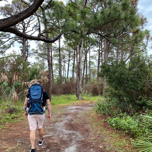 Honeymoon Island Nature Trail - 2 tips