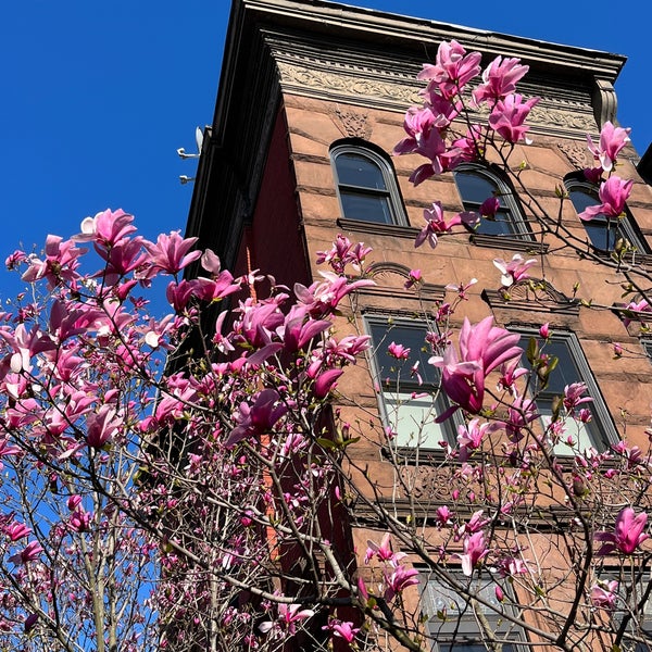 Prospect Heights - 17 tips from 3995 visitors