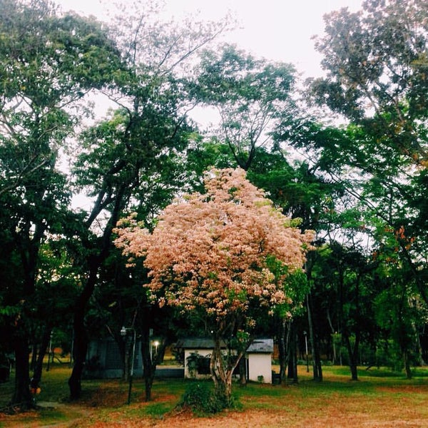 UP Lagoon - Quezon City District 4 - 3 tips from 173 visitors