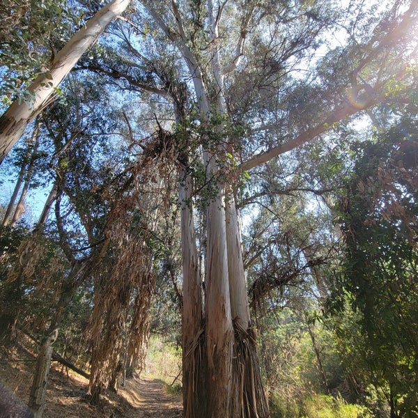 Don Castro Regional Recreation Area - 5 tips