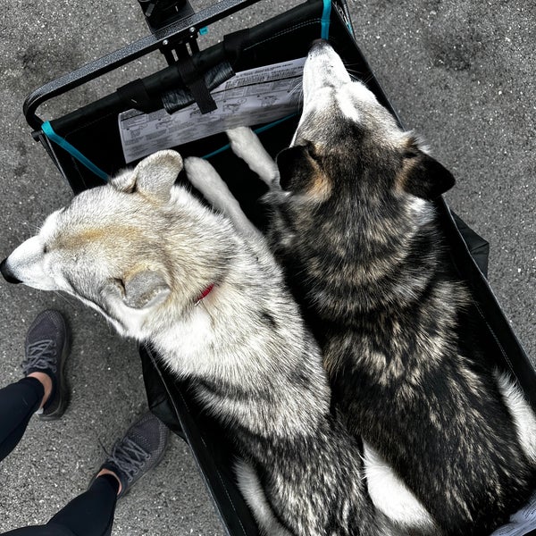 Main Parade Lawn (Presidio) - Presidio National Park - 37 visitors