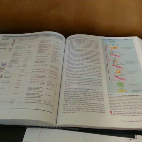 Library (UWT) - Downtown Tacoma - Tacoma, WA