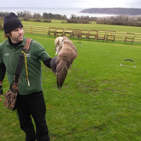Perriswood Archery & Falconry Centre - Sports and Recreation