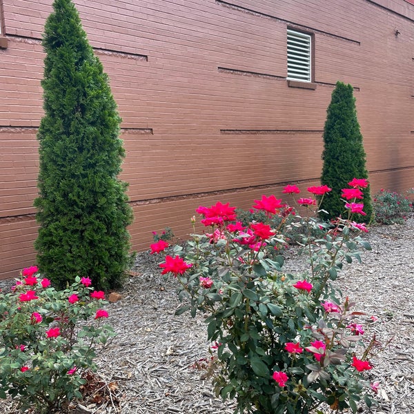 Cobb County Public Library - Marietta, GA