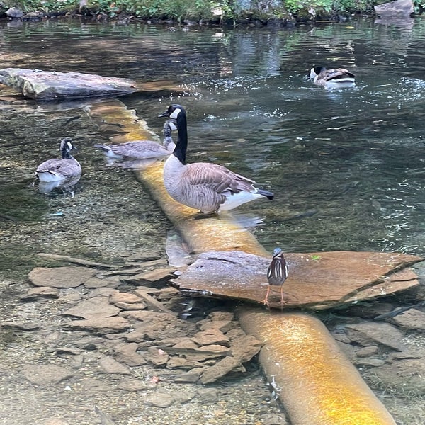 Cave Spring, Georgia - 4 tips from 381 visitors