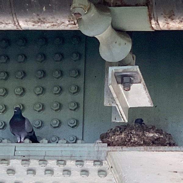 Bloomfield Bridge - Bridge in Pittsburgh