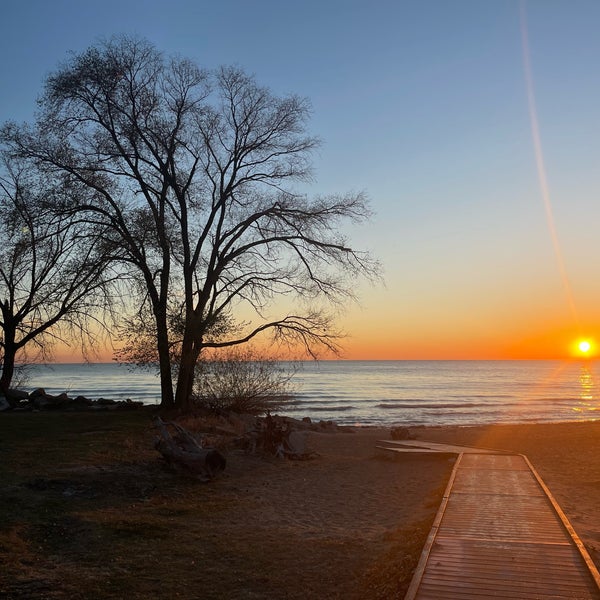 Albion Beach - Rogers Park - 5 tips from 172 visitors