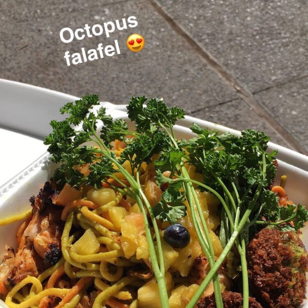 Octopus Falafel Truck - Center City West - 11 tips