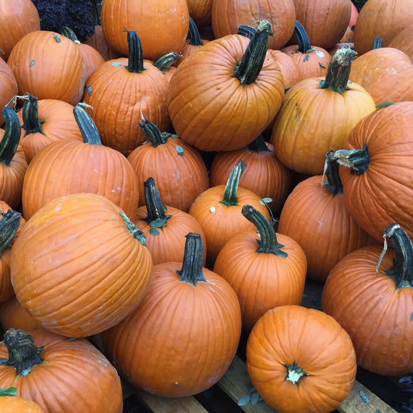 Matt's Farm Market & Garden Center - 2 tips from 108 visitors