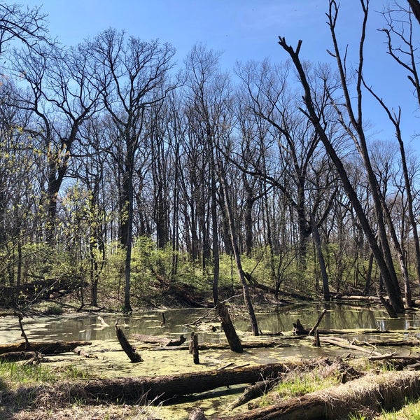 Photos at Bemis Woods - Park