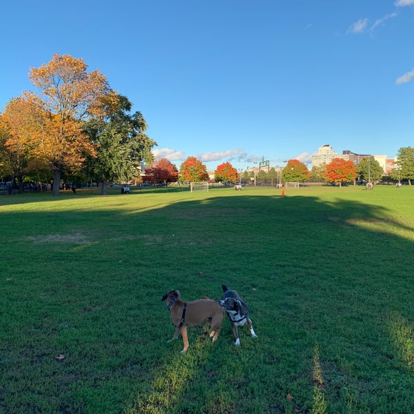 Foss Park - 4 tips from 388 visitors