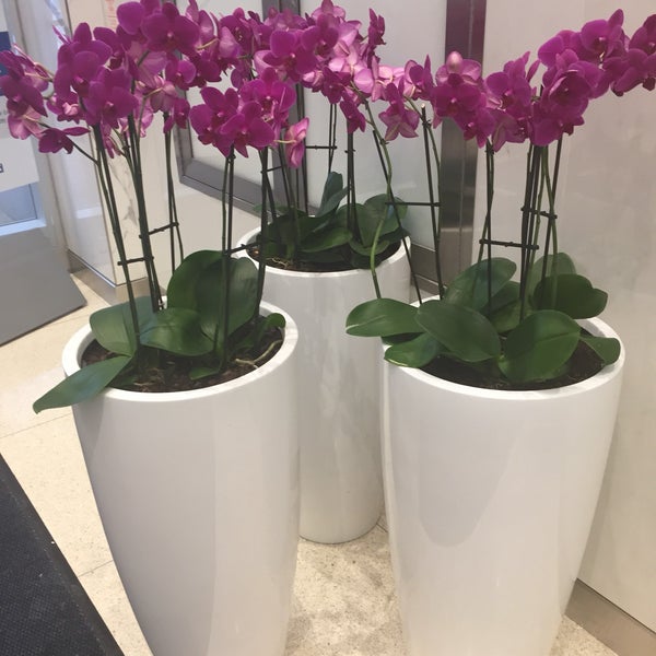 Consulate General of Brazil In Toronto - Embassy or Consulate in Toronto