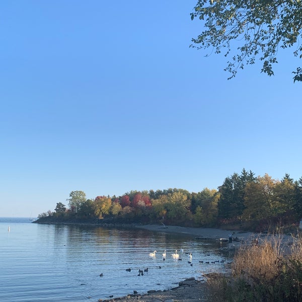 Lakefront Promenade Park - Lakeview - 2 tips from 205 visitors