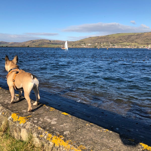 Cheddar Reservoir - 101 visitors