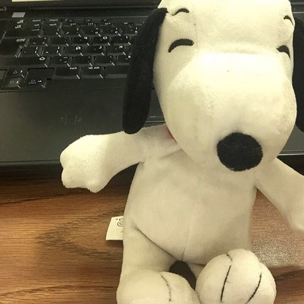 Splash (tangamanga) - San Luis Potosí, San Luis Potosí