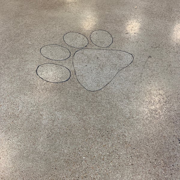 Metro Paws Animal Hospital - Oak Cliff - Veterinarian