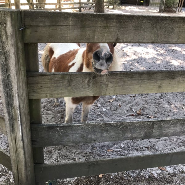 Photos at Popcorn Park Zoo - Zoo in Forked River
