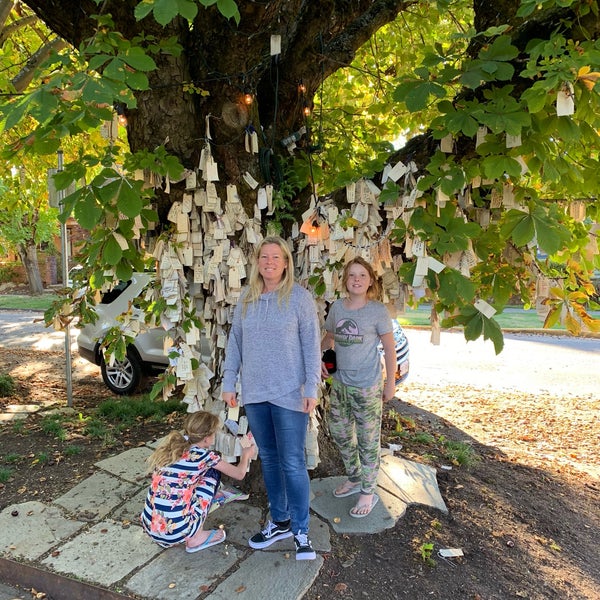 The Wishing Tree - Tree