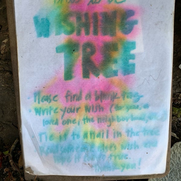 The Wishing Tree - Tree
