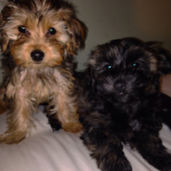 Merwin Memorial Animal Clinic - 8 tips from 174 visitors