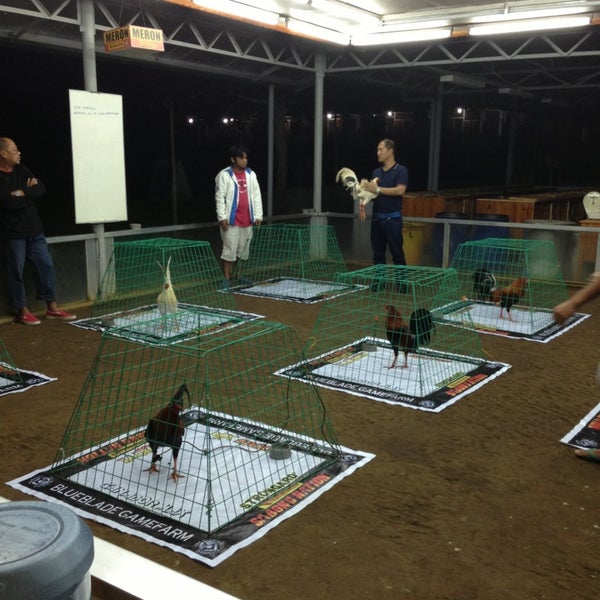 Blue Blade Game Farm - 8 visitors