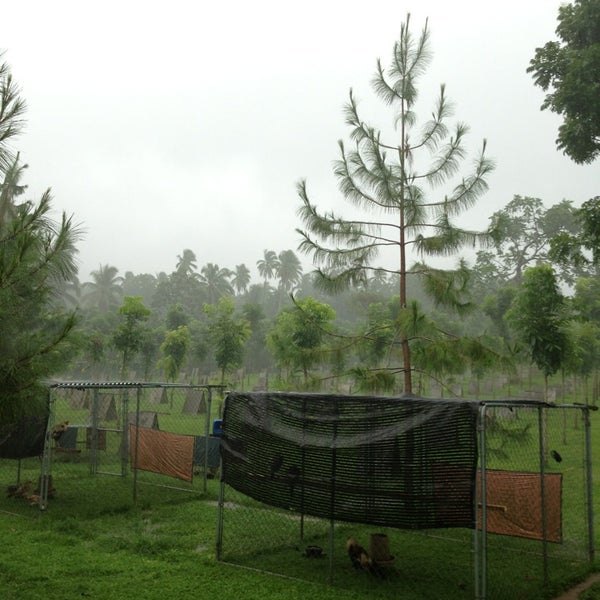 Blue Blade Game Farm - 8 visitors