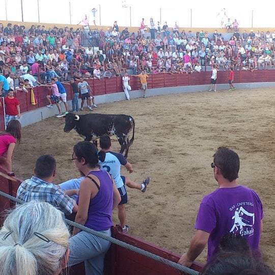 Plaza de toros de Añora - Arts and Entertainment