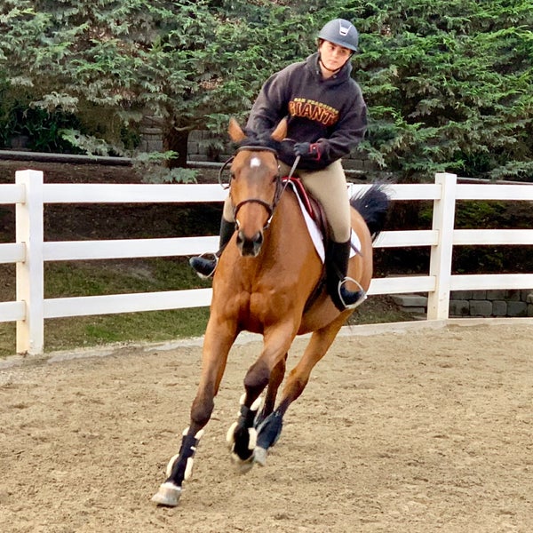 Cypress Stables - Carmel, CA