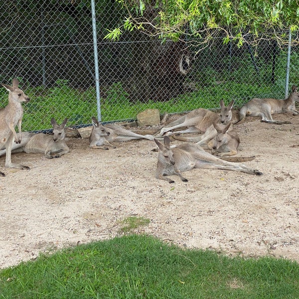 Photos at Symbio Wildlife Park - Zoo