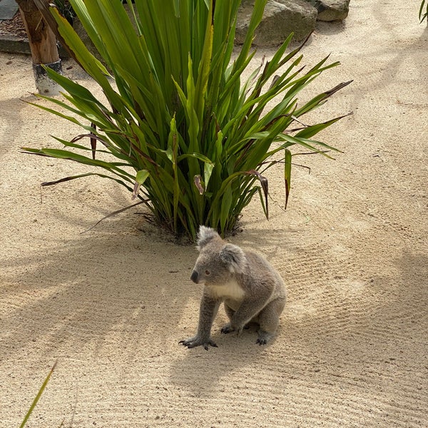Photos at Symbio Wildlife Park - Zoo