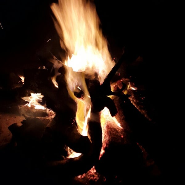 Tembe Elephant Park - KwaTembe, KwaZulu-Natal