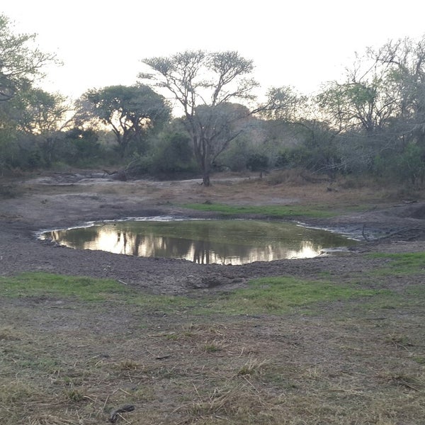 Tembe Elephant Park - KwaTembe, KwaZulu-Natal